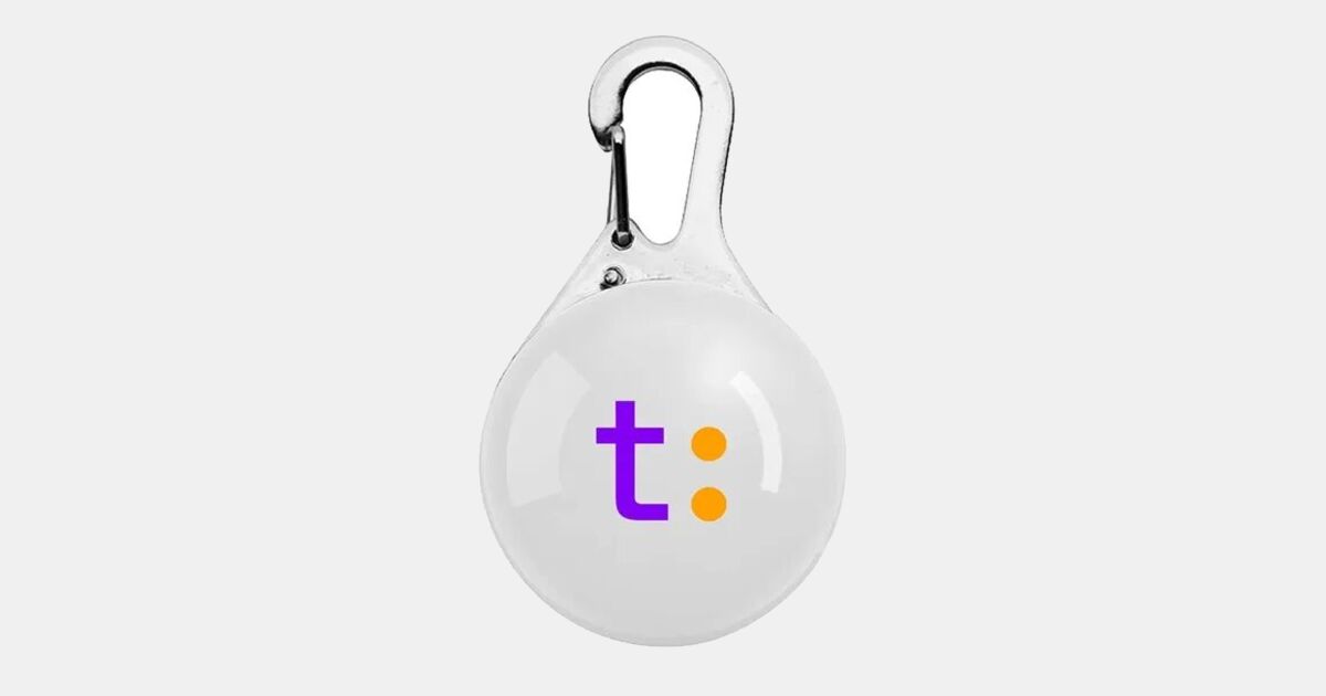 Custom Printed LED Clip On Pet Safety Light with your logo ...