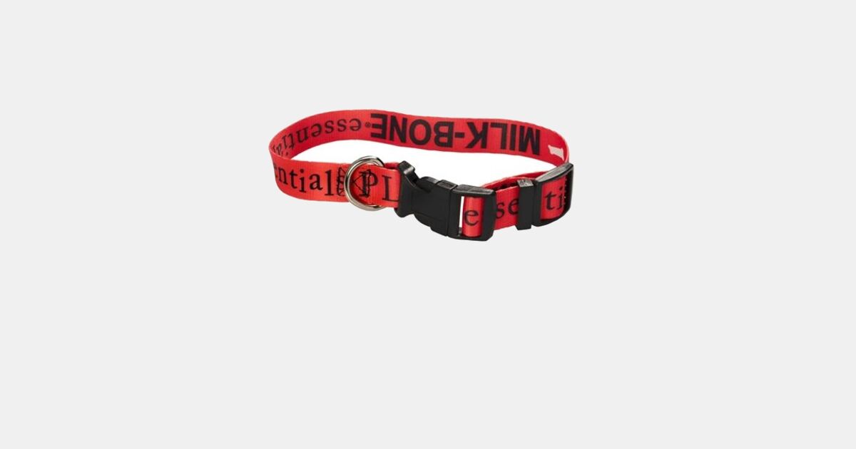 Custom Printed Dye-Sublimated Pet Collar with your logo ...