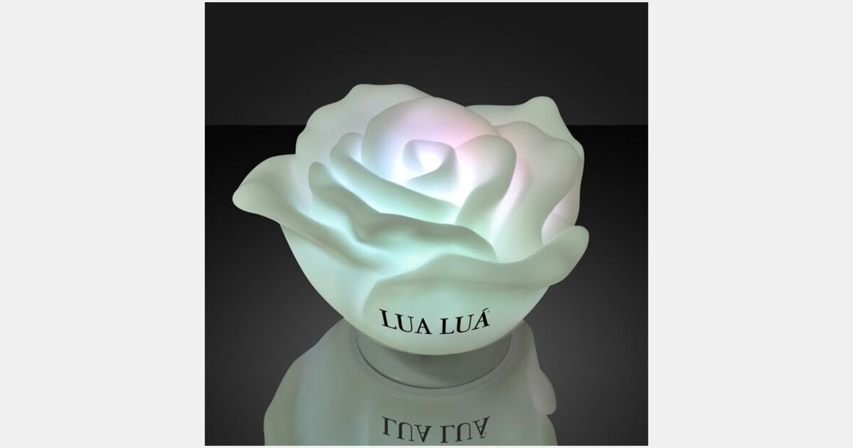 Floating Deco Roses with Color Change LEDs with your logo ...