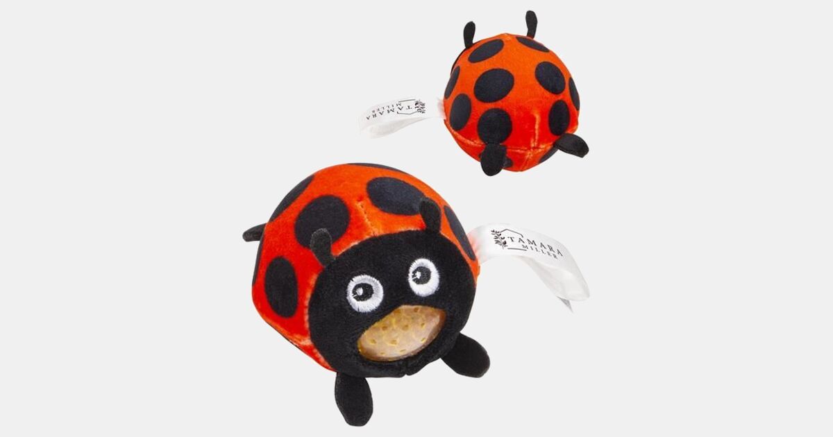 Ladybug Stress Buster (TM) with your logo | MiniThrowBalls.com