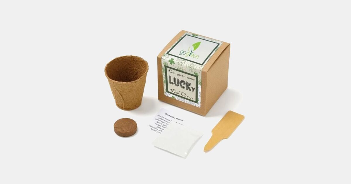 Lucky 4 Leaf Clover Seed Growable Planter Kit with your logo ...