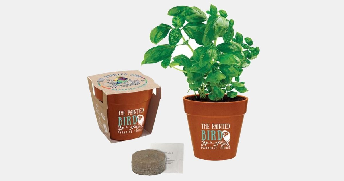Custom Printed Mini Bamboo Blossom Kit with your logo | MiniThrowBalls.com