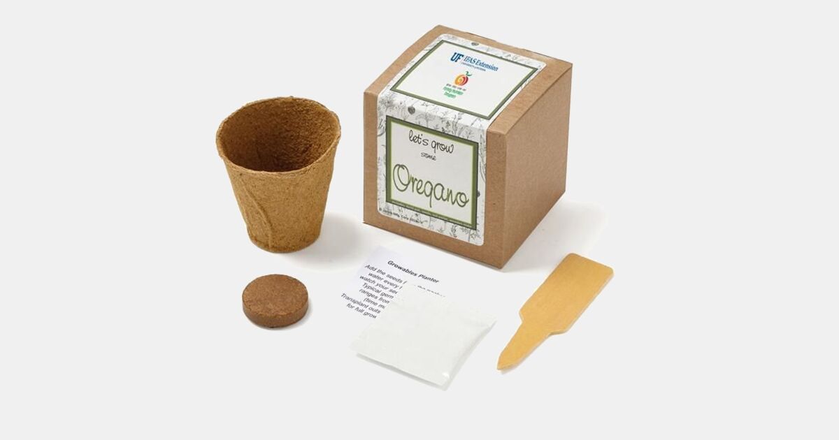 Oregano Seed Growable Planter Kit with your logo | MiniThrowBalls.com