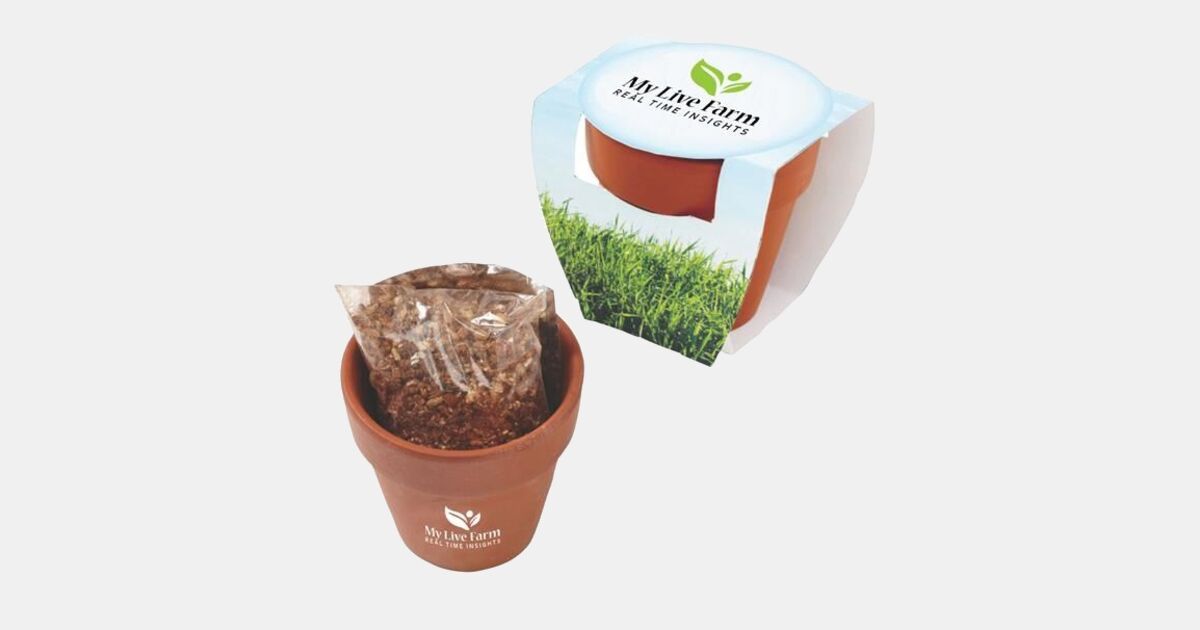 Seed Sensations Terracotta Pot with your logo | MiniThrowBalls.com