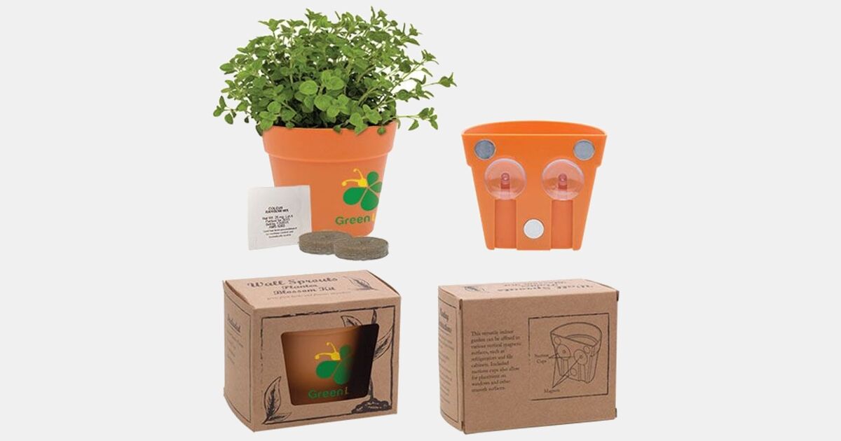 Wall Sprouts Planter Blossom Kit with your logo | MiniThrowBalls.com