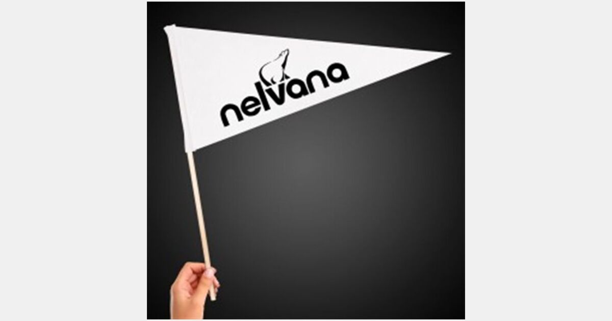 White Felt Pennant Banner with your logo | MiniThrowBalls.com